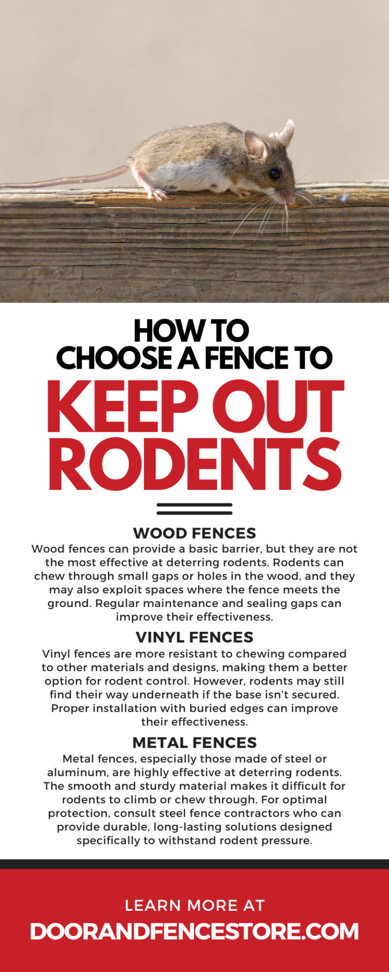 How To Choose a Fence To Keep Out Rodents